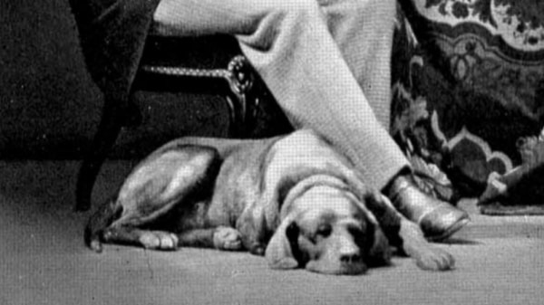 Why We Owe “The Flying Dutchman” To A Dog