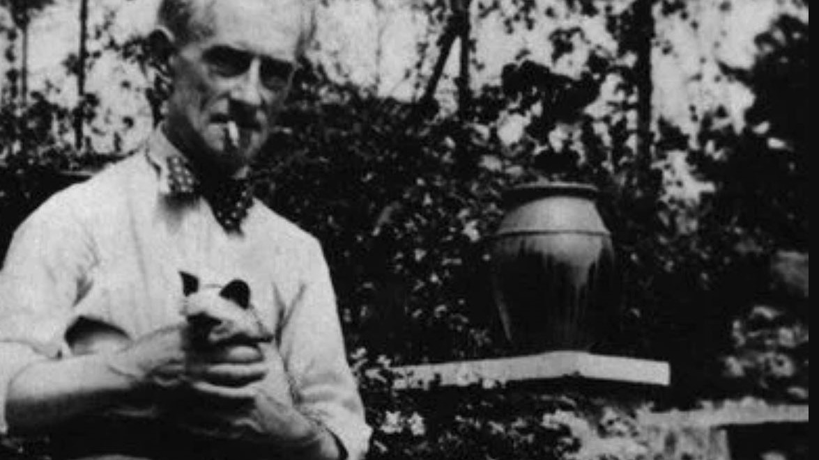 Ravel’s Feline Family