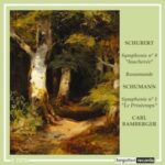 The Mystery of Schubert's Unfinished Symphony (Symphony No. 8)