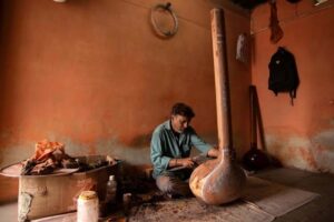 Plants, Vegetables, and Musical Instruments