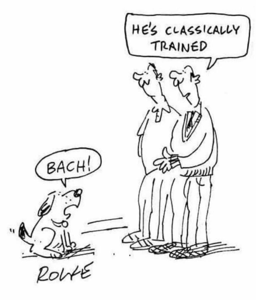 Our Favorite Funny and Musical Animals