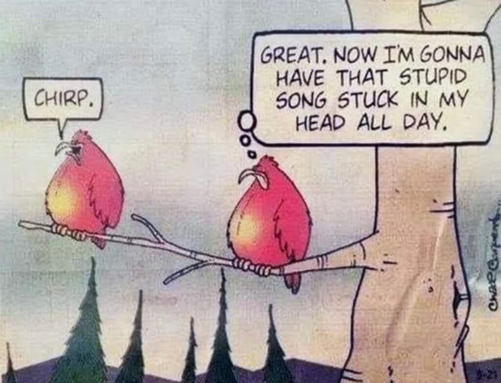 Our Favorite Funny and Musical Animals