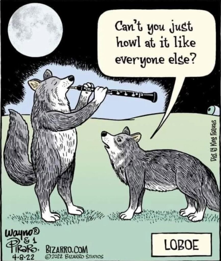 Our Favorite Funny and Musical Animals