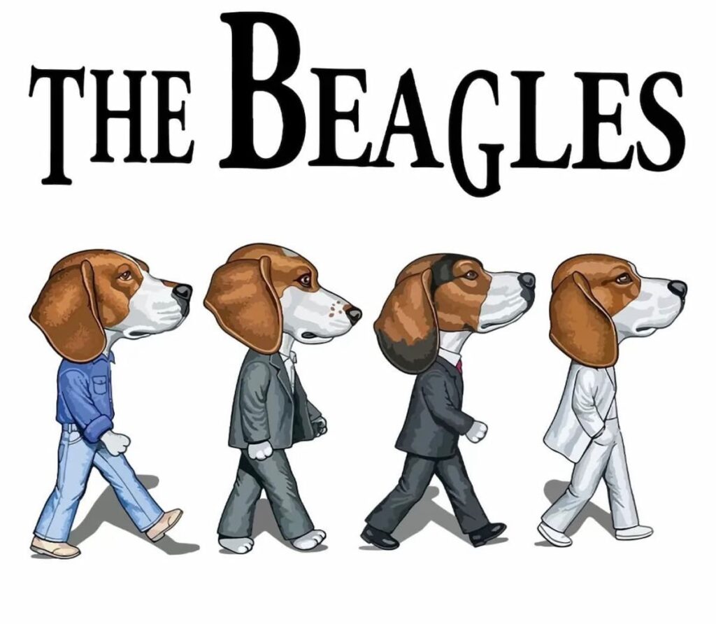 Our Favorite Funny and Musical Animals