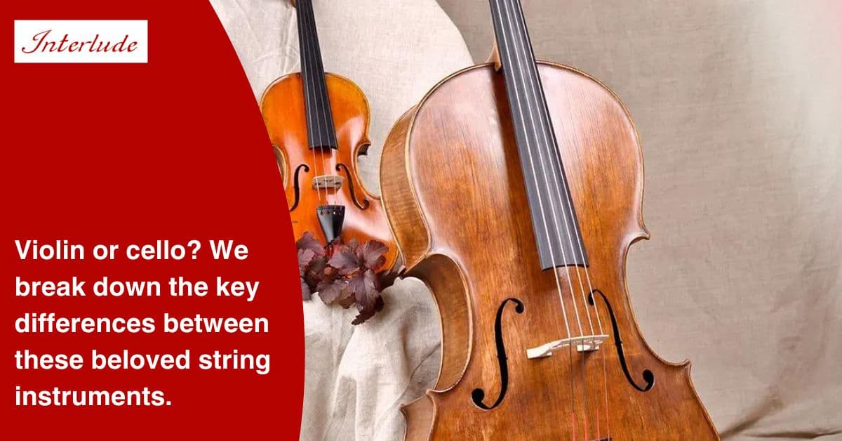 Violin vs. Cello: What's the Difference? And Which One Should I Play?