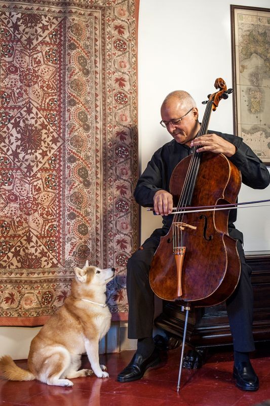 Antônio Meneses: Brazilian Cello Master's Top Recordings