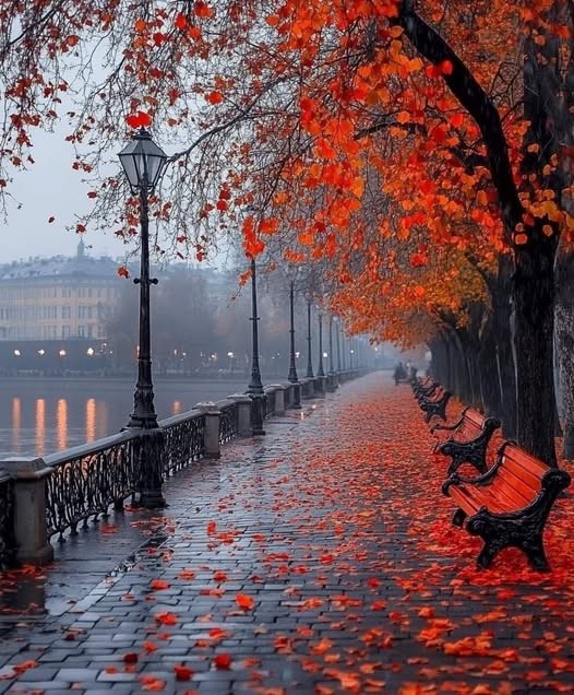 Autumn Rain in Classical Music: 10 Beautiful Compositions