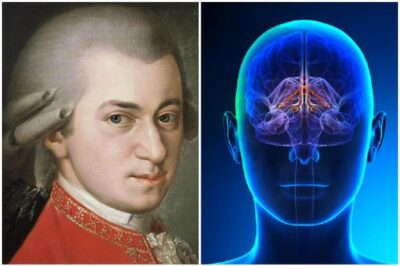 Classical Music & Brain Health: Mozart Effect Explained
