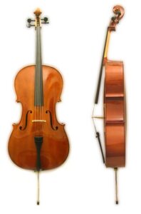 Why We Celebrate International Cello Day on December 29
